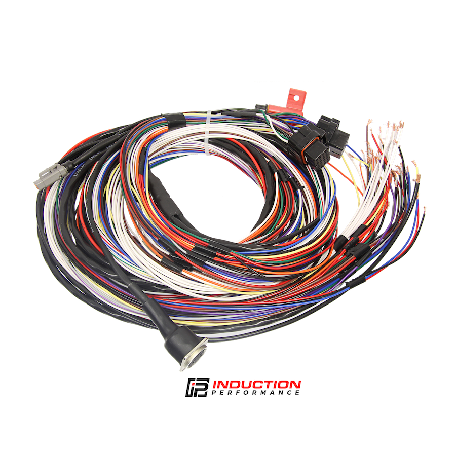 MoTeC 10' Unterminated Flying Lead Harness for PDM15 / PDM30 ...